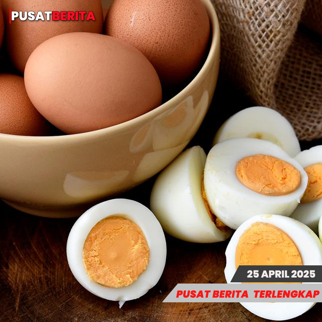 Cara Menyimpan Telur Rebus agar Tetap Segar dan Nikmat - PUSATBERITA